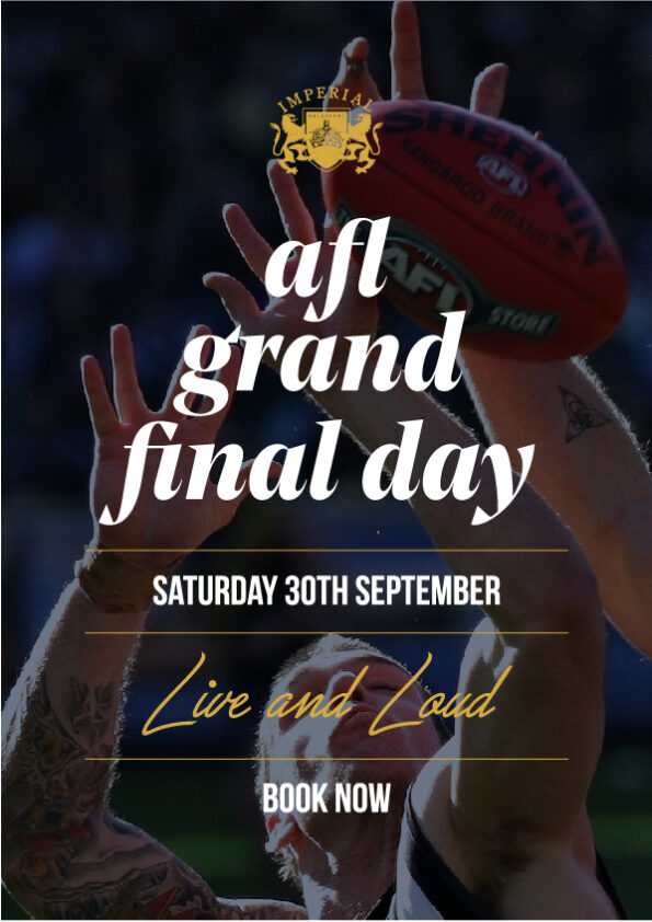 Rooftop Pub & Sports Bar Melbourne City - Imperial Hotel, Bourke St
